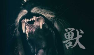 The Local – Japanese Local and Authentic Food